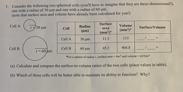 Solved 1. Consider the following two spherical cells (you'll | Chegg.com