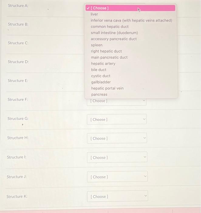 Solved Match each structure (on the left) to its correct | Chegg.com