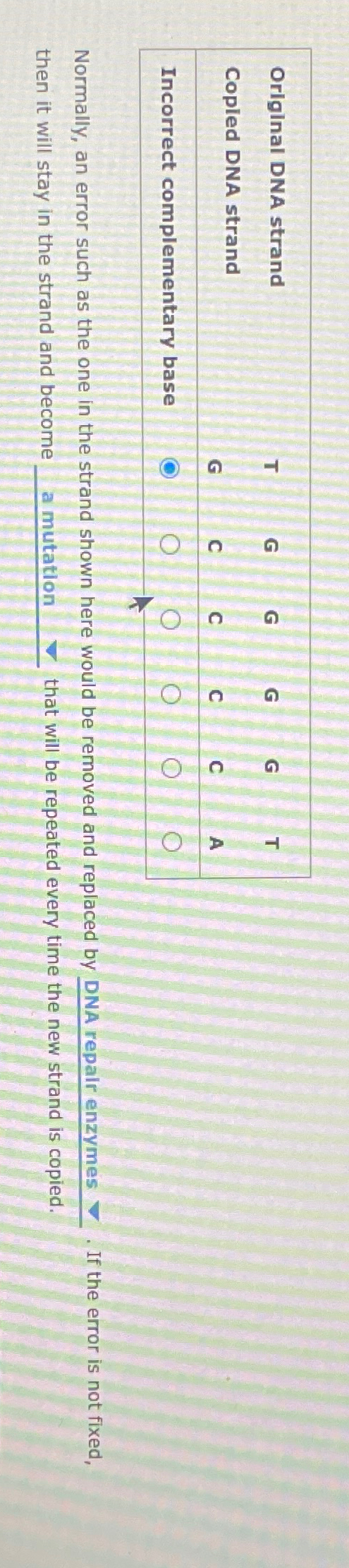 Solved \table[[OrIglnal DNA strand,T,G,G,G,G,T],[Copled DNA | Chegg.com