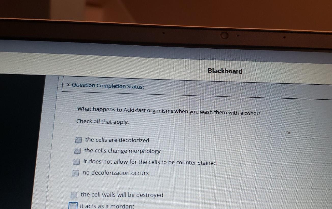 Solved Blackboard Question Completion Status: What happens | Chegg.com