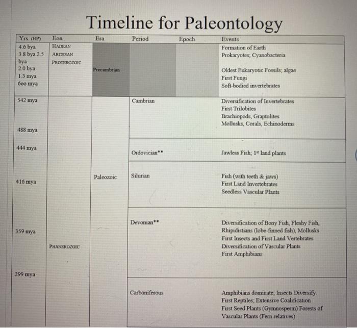 Solved Timeline for Paleontology Era Period Epoch Eon HADEAN | Chegg.com
