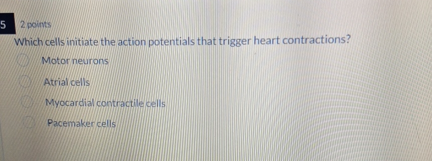 Solved 52 pointsWhich cells initiate the action potentials | Chegg.com Solved 52 pointsWhich cells initiate the action potentials | Chegg.com