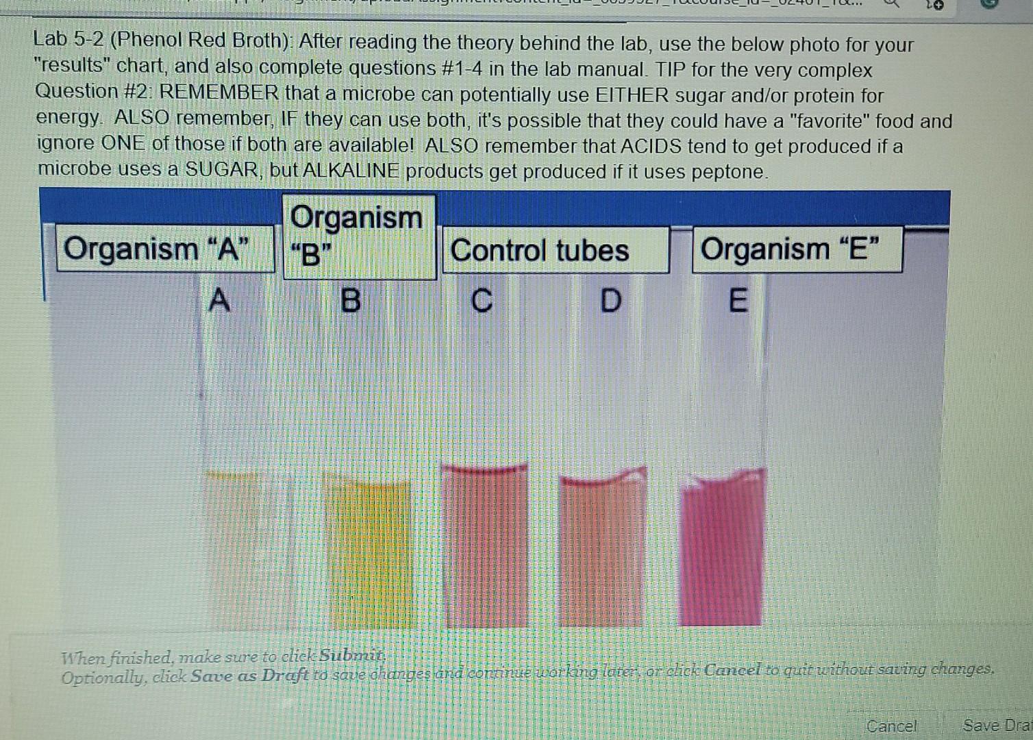 Solved + B Lab 5-2 (Phenol Red Broth): After reading the | Chegg.com