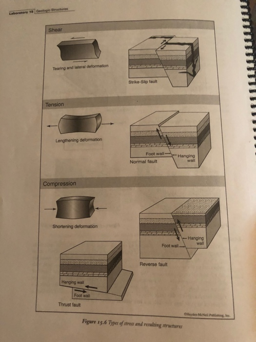 Solved LABORATORY 15 Geologic Structures Materials fault | Chegg.com Solved LABORATORY 15 Geologic Structures Materials fault | Chegg.com
