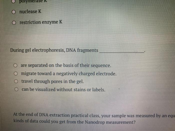 Solved nuclease K restriction enzyme K During gel | Chegg.com