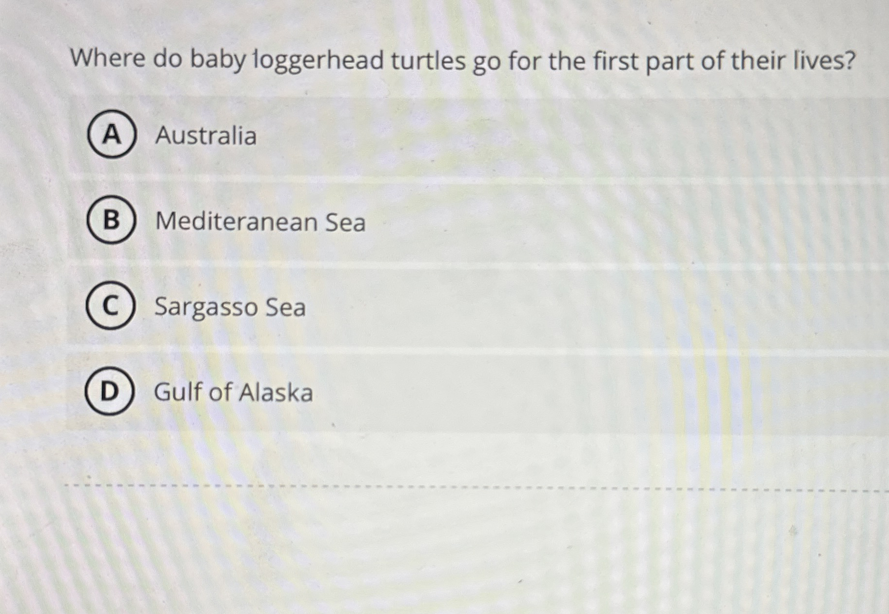 Solved Where do baby loggerhead turtles go for the first | Chegg.com