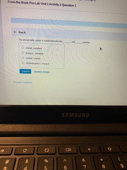 Solved From-the-Book Pre-Lab Unit 1 Activity 2 Question 1 | Chegg.com