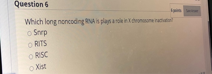 Solved Question 6 6 points Save Answer Which long noncoding | Chegg.com