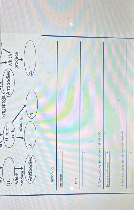 Solved For the concept map below, match each of the labels | Chegg.com