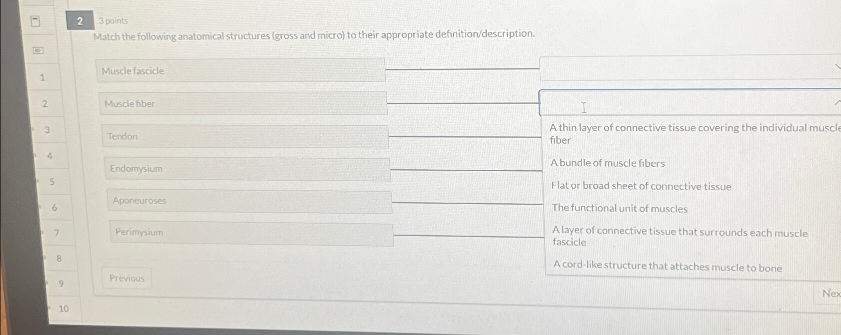 Solved 23 ﻿pointsMatch the following anatomical structures | Chegg.com