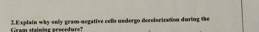 Solved 2.Explain why only gram-negative cells undergo | Chegg.com
