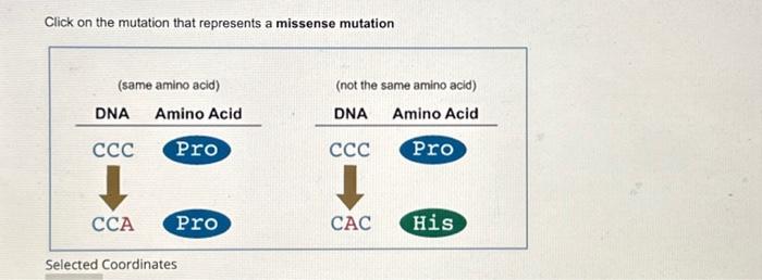Solved Click on the mutation that represents a missense | Chegg.com
