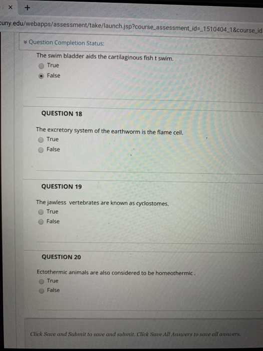 Solved X + | Chegg.com