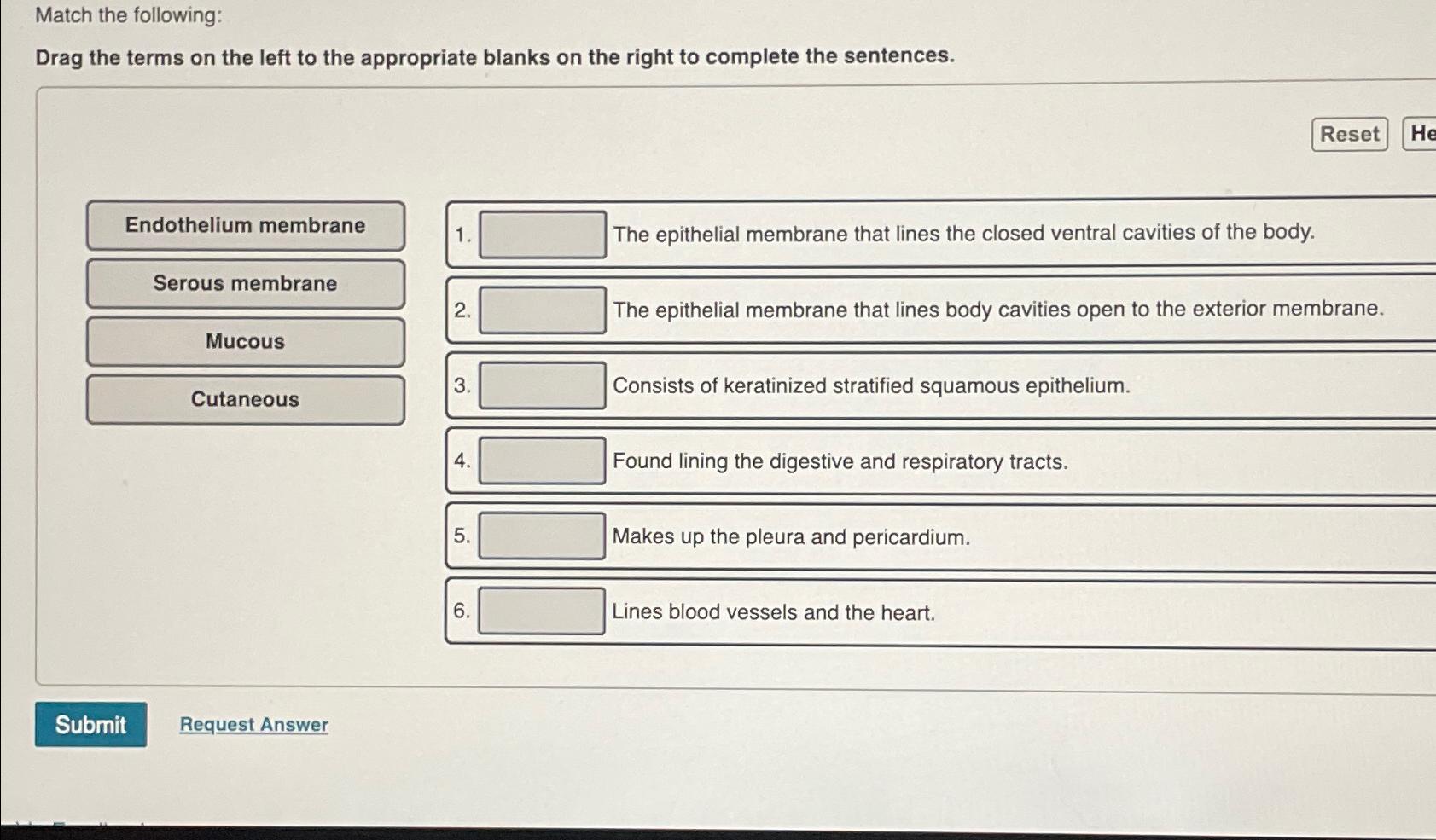 Solved Match the following:Drag the terms on the left to the | Chegg.com