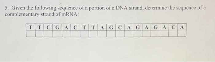 Solved 5. Given the following sequence of a portion of a DNA | Chegg.com