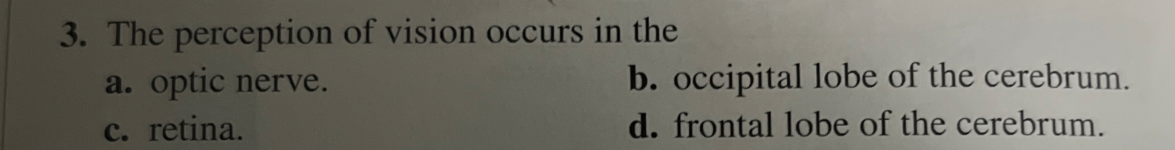 Solved The perception of vision occurs in thea. ﻿optic | Chegg.com