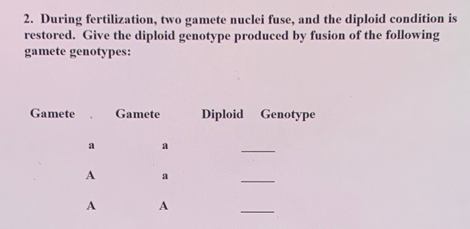 Solved During fertilization, two gamete nuclei fuse, and the | Chegg.com