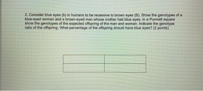 Solved 2. Consider blue eyes (b) in humans to be recessive | Chegg.com