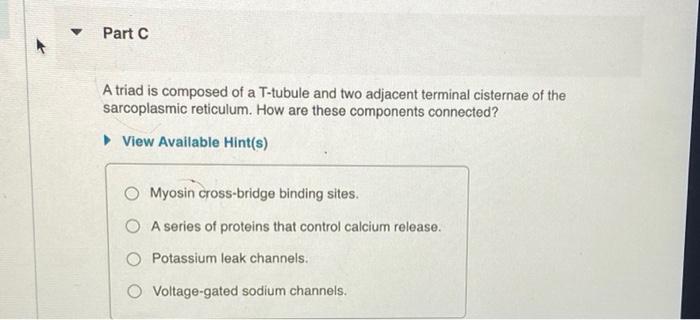 Solved What is name given to the regularly spaced infoldings | Chegg.com