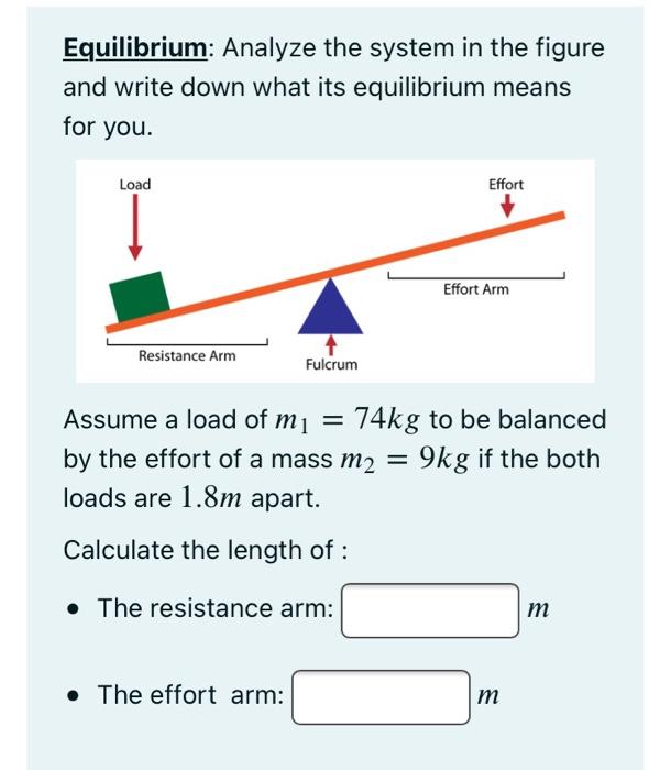 Solved Equilibrium: Analyze the system in the figure and | Chegg.com