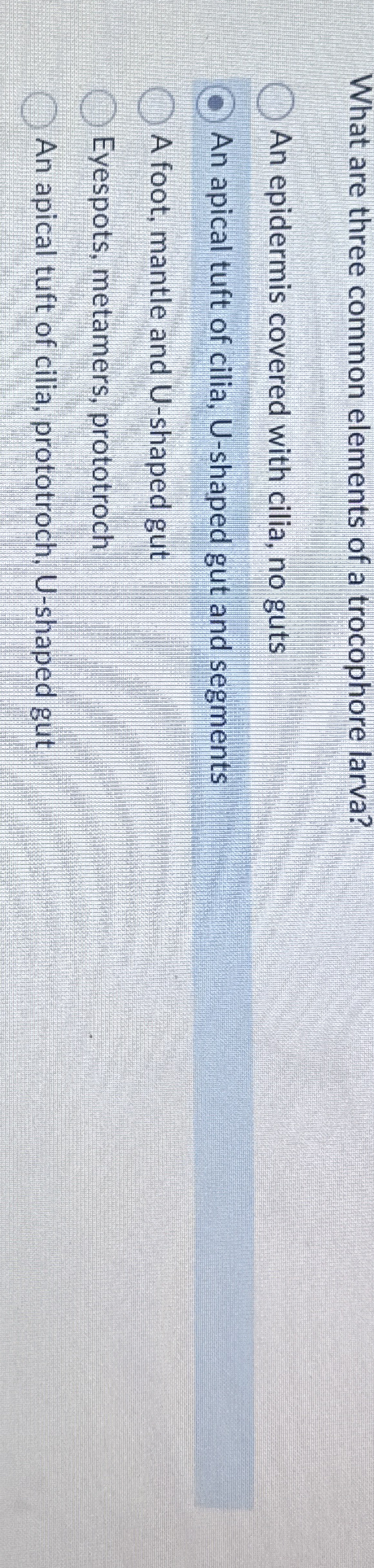 Solved What are three common elements of a trocophore | Chegg.com