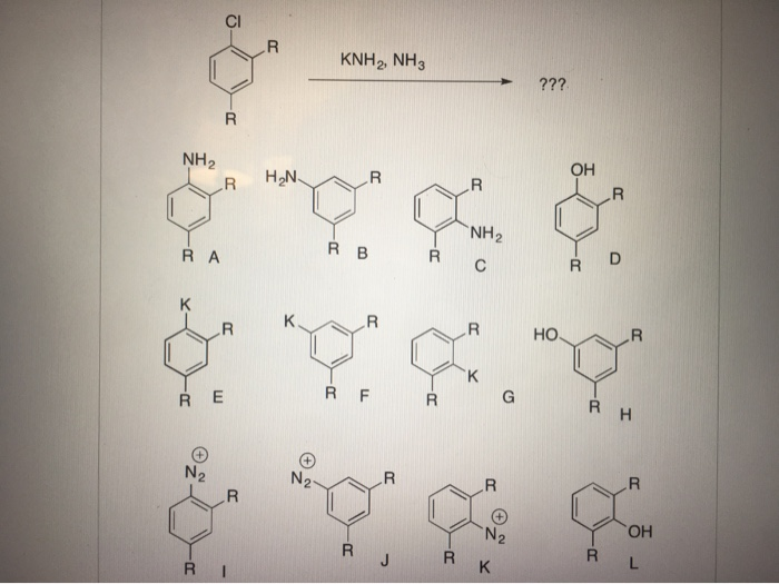 Solved D KNH, NHS KNH, NH3 NH2 R HN NH2 RB RA D RH OH If | Chegg.com