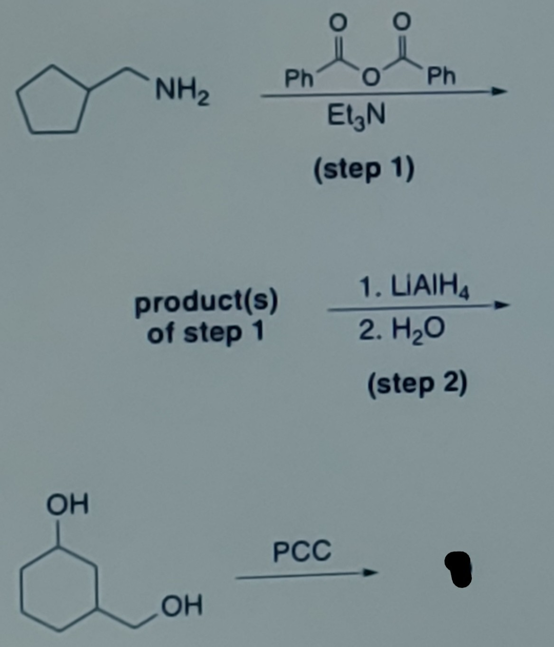 Solved Ph Ph NH2 O Etzn. (step 1) product(s) of step 1 1. | Chegg.com