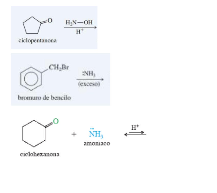 Solved complete la reacciónciclopentanonabromuro de | Chegg.com