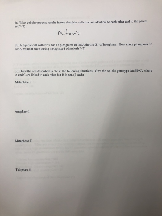 Solved 3a. What cellular process results in two daughter | Chegg.com