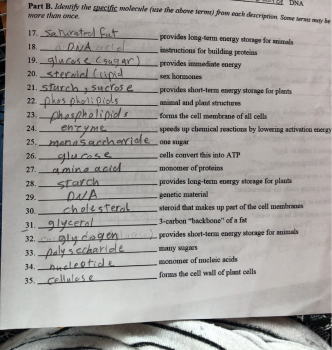 Solved Part B. Identify the specific molecule (use the above | Chegg.com