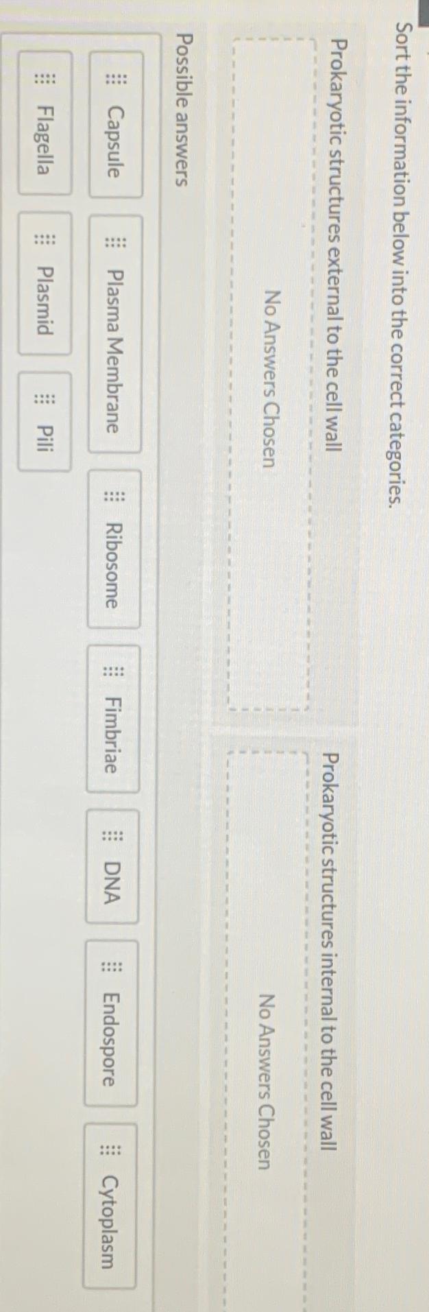 Solved Sort the information below into the correct | Chegg.com