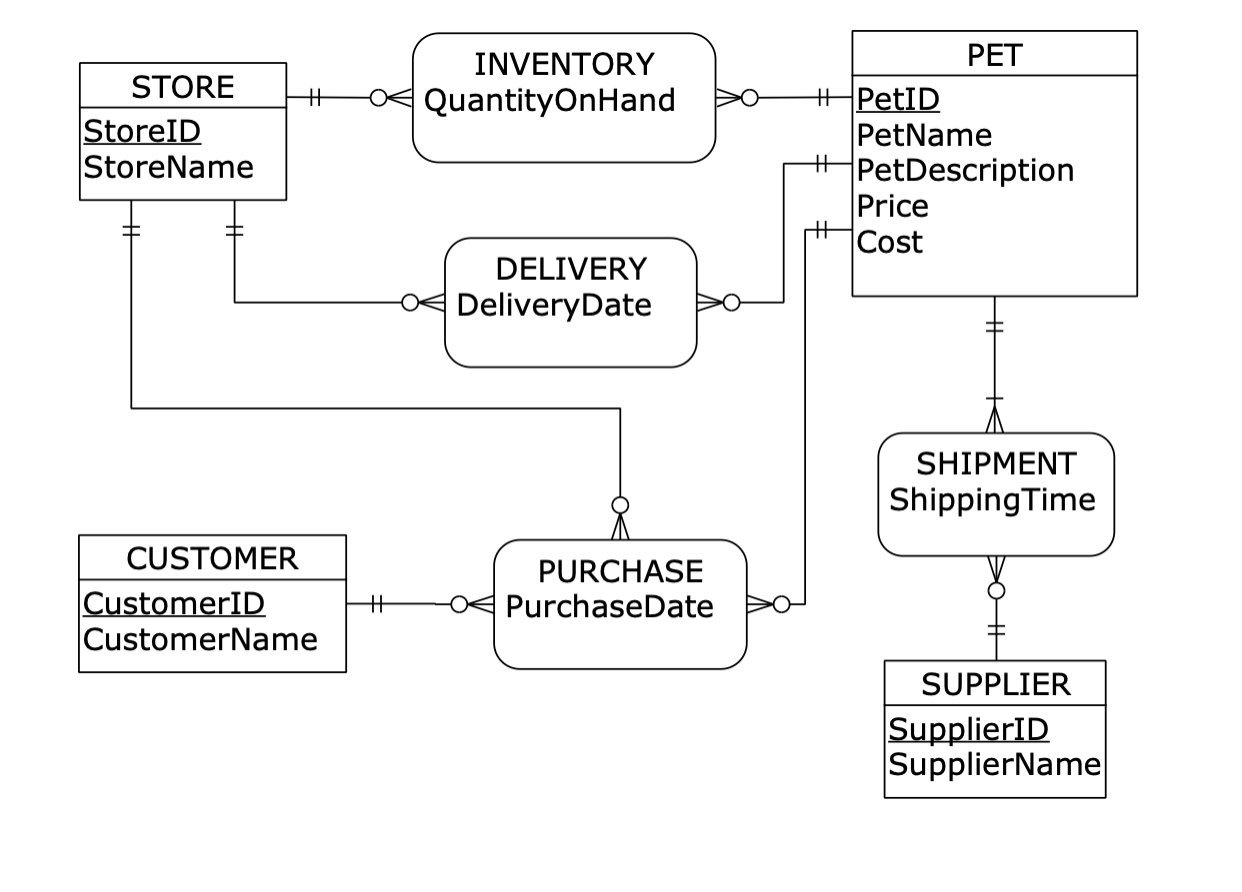 Solved In this exercise I am giving you the conceptual model | Chegg.com