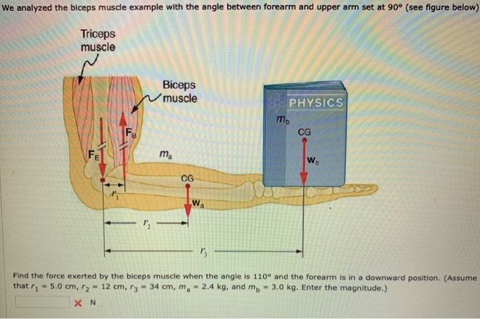 Solved We analyzed the biceps muscle example with the angle | Chegg.com
