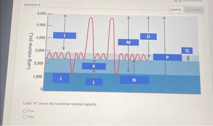 Letter " N " shows the functional residual capacity, | Chegg.com
