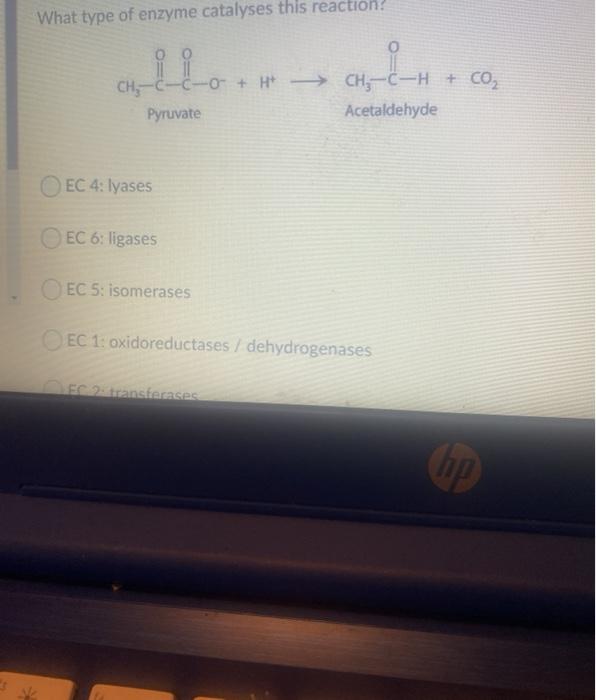 Solved What type of enzyme catalyses this reaction! 0 0 Lot | Chegg.com