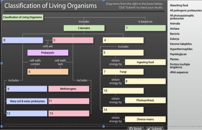 [Solved]: Classification of Living Organisms Drag tems from