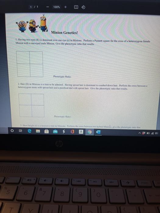 Solved 100% ☺ Minion Genetics! 1. Having two eyes(E) is | Chegg.com
