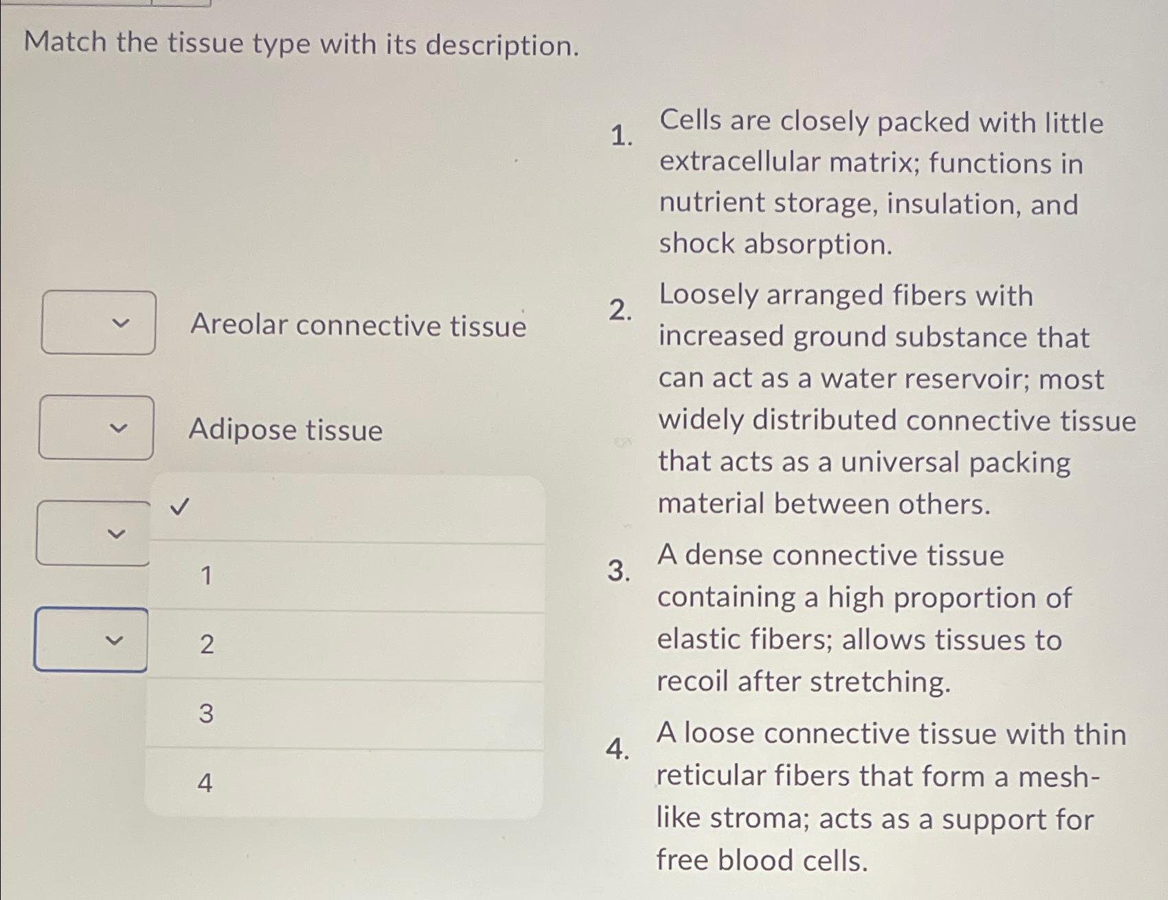 Solved Match the tissue type with its description.Areolar | Chegg.com
