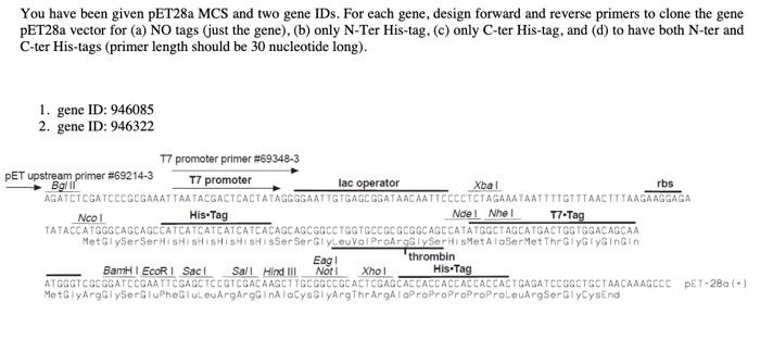 Solved You have been given pET28a MCS and two gene IDs. For | Chegg.com