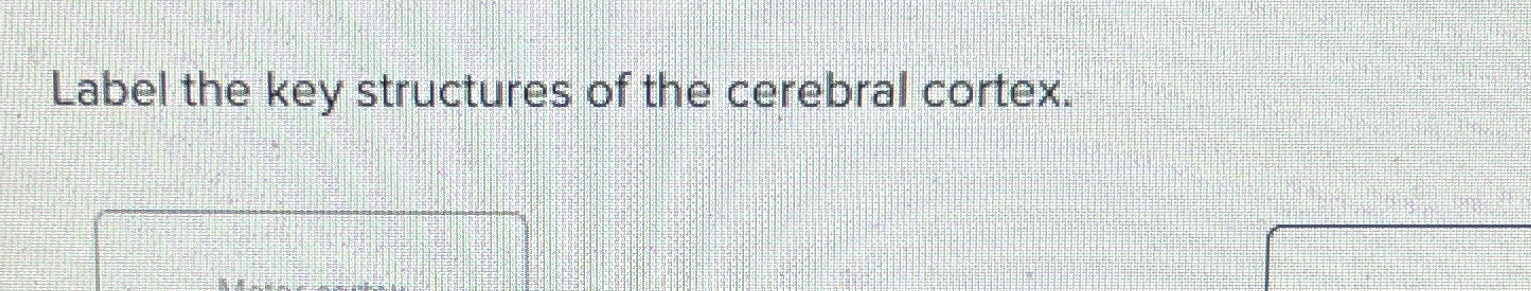 Solved Label the key structures of the cerebral cortex. | Chegg.com