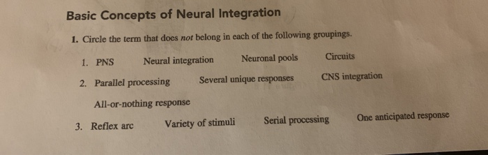 Solved Basic Concepts of Neural Integration 1. Circle the | Chegg.com