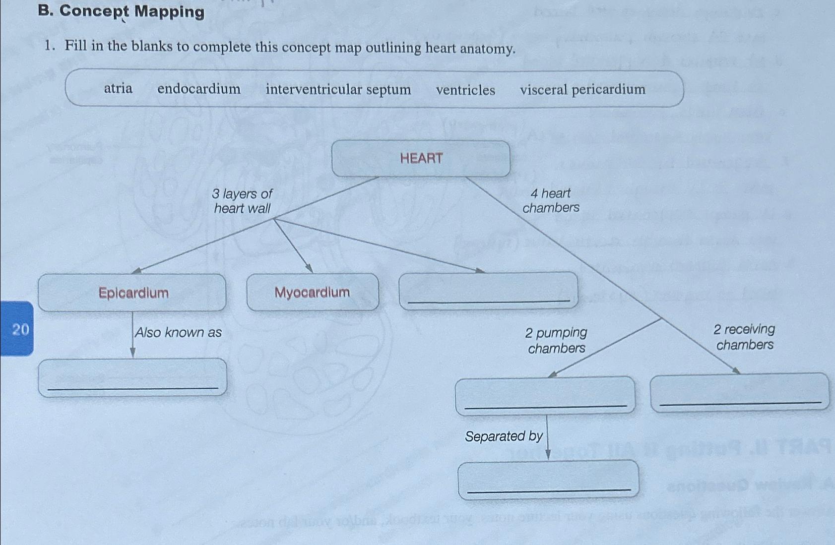 Solved B. ﻿Concept MappingFill in the blanks to complete | Chegg.com