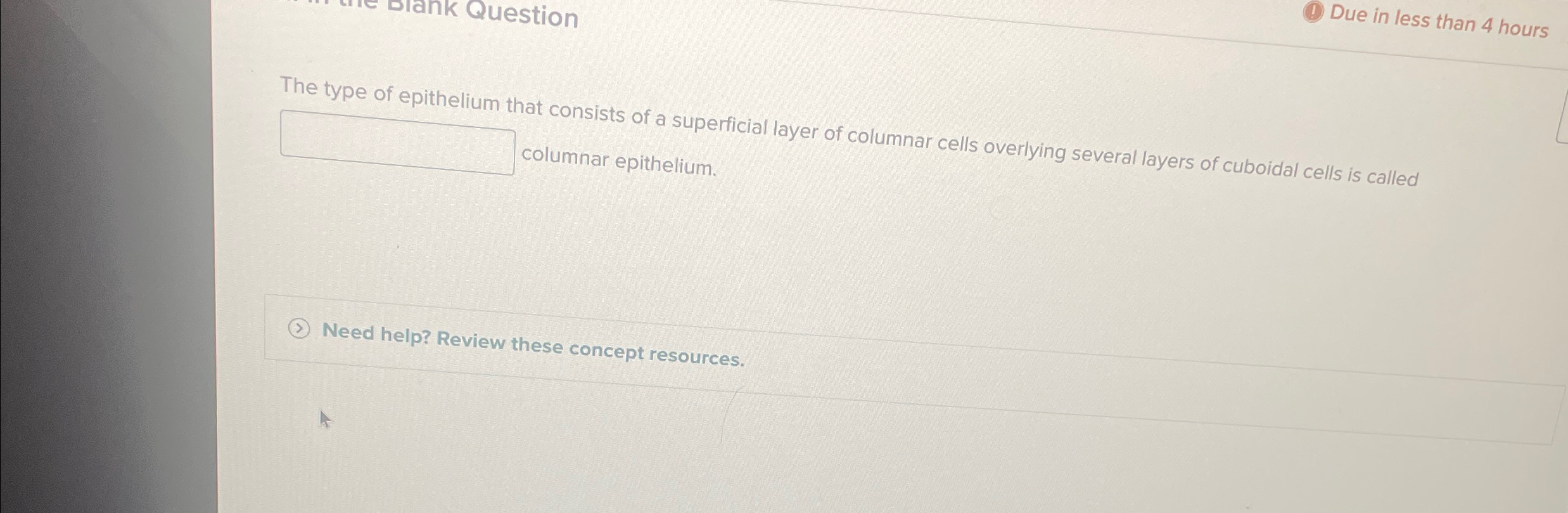 Solved The type of epithelium that consists of a superficial | Chegg.com