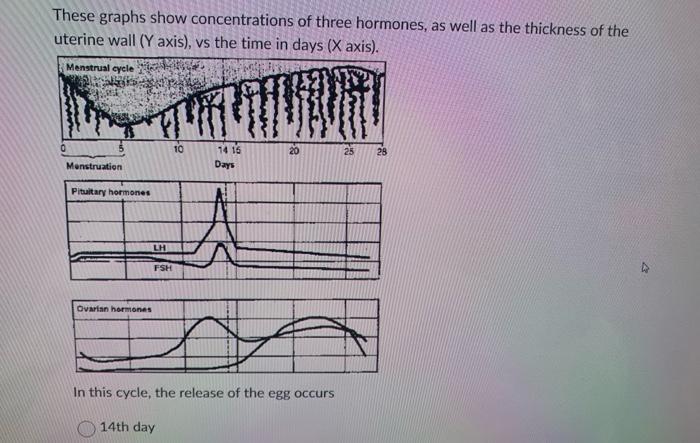 Solved These graphs show concentrations of three hormones, | Chegg.com