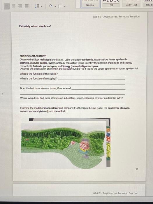Solved Lab # 9-Angiosperms: Form and Function Lab #9 - | Chegg.com