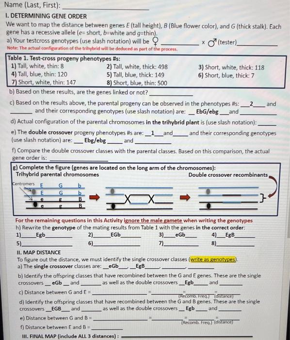 Solved Name (Last, First): I. DETERMINING GENE ORDER We want | Chegg.com