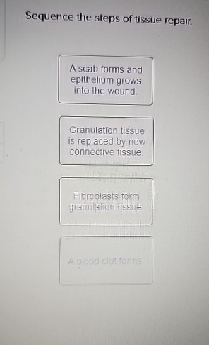 Solved Sequence the steps of tissue repair.A scab forms and | Chegg.com