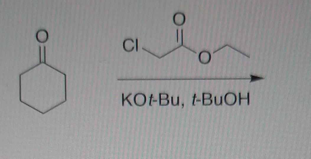 Solved KOt−Bu,t−BuOH | Chegg.com