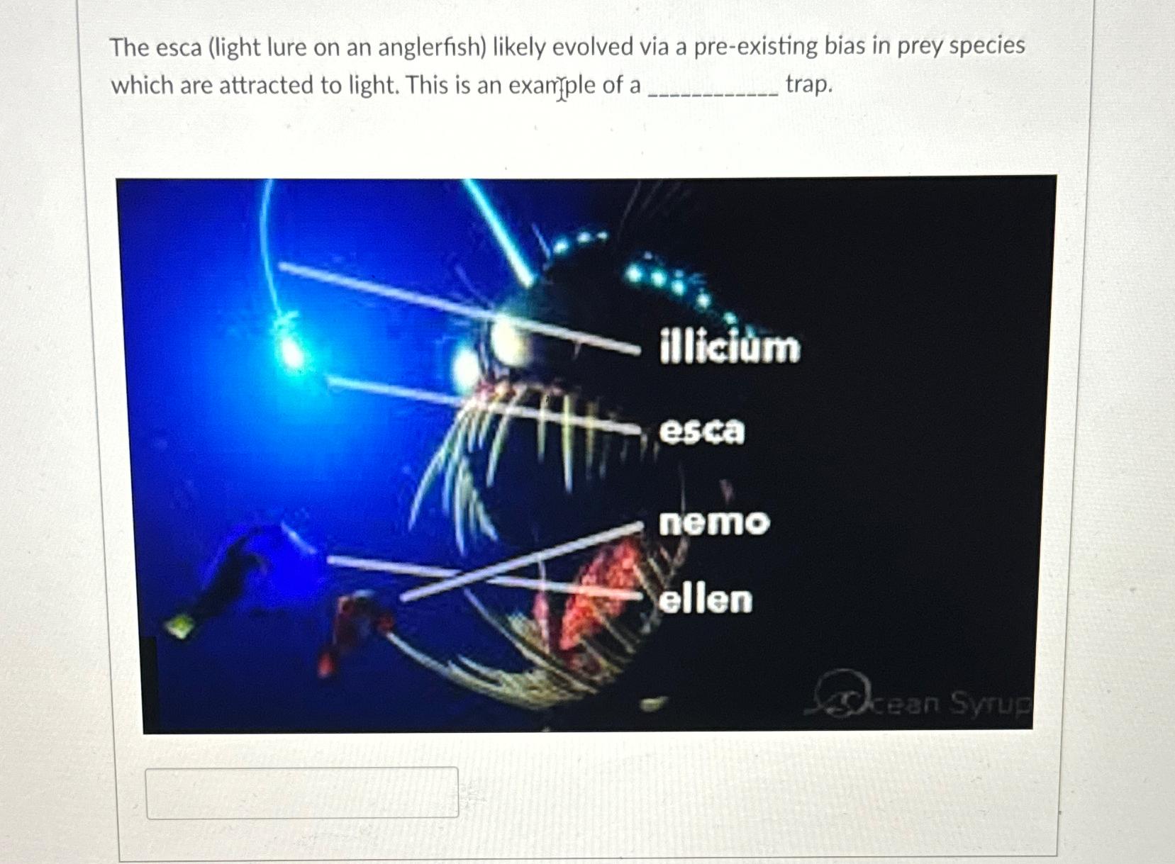 Solved The esca (light lure on an anglerfish) ﻿likely | Chegg.com