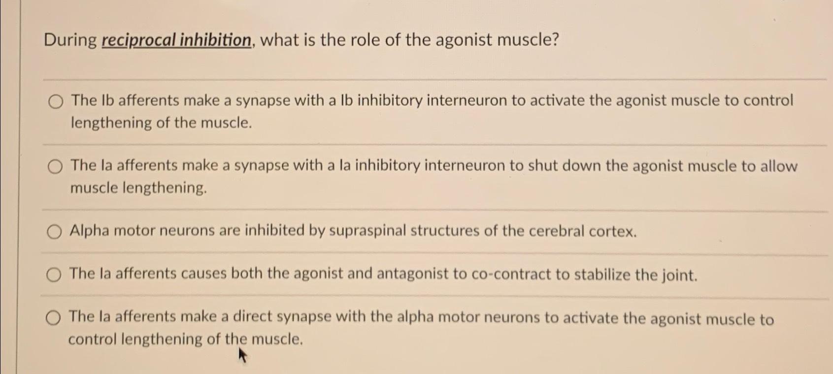 Solved During reciprocal inhibition, what is the role of the | Chegg.com